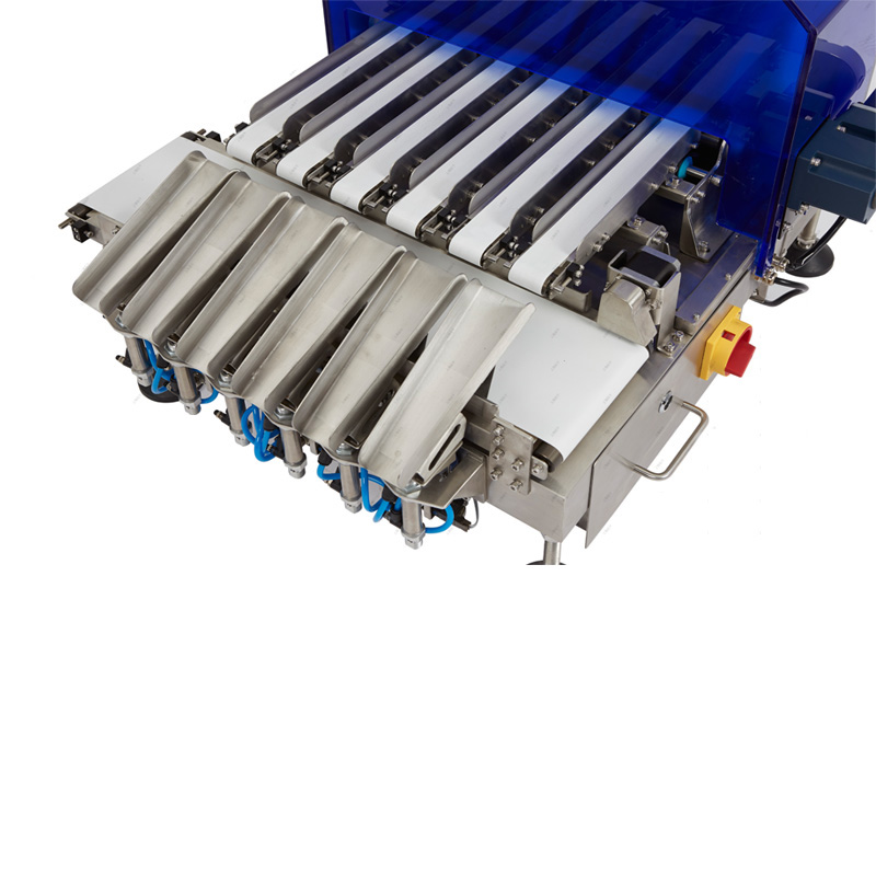 25g Multi-lane Checkweigher For Small Strippack Sachet Non-standard ...